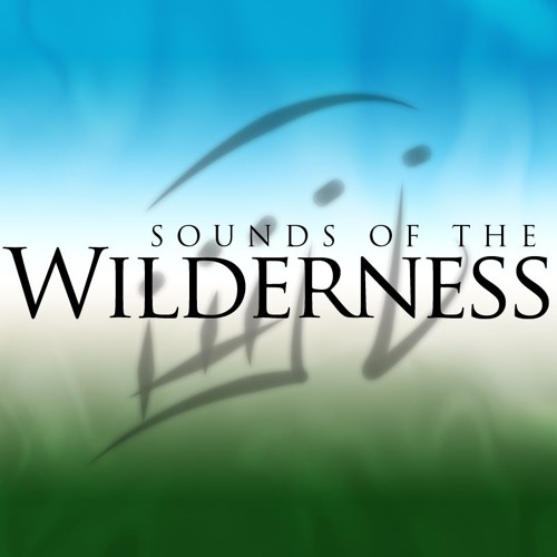 Stream Sounds of the Wilderness by Stefan Schuck | Listen online for ...