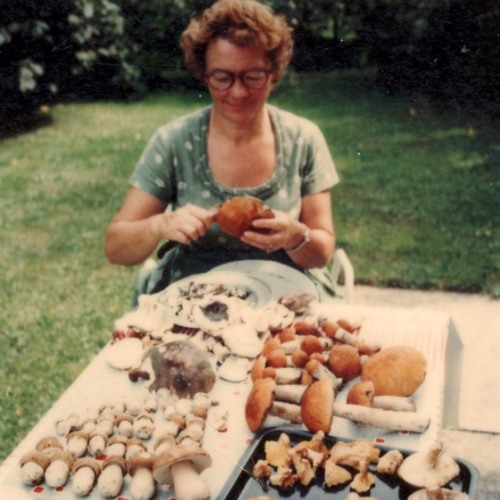 Stream Feast for the seven dwarfs by logs and machines | Listen online ...