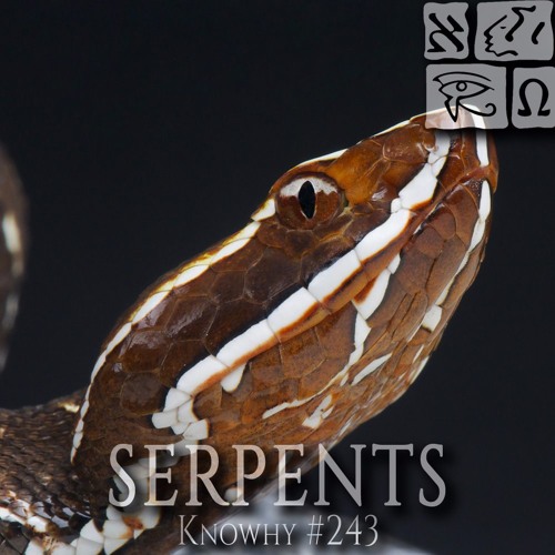 Stream Why Did Snakes Infest Jaredite Lands During A Famine? #243 by ...