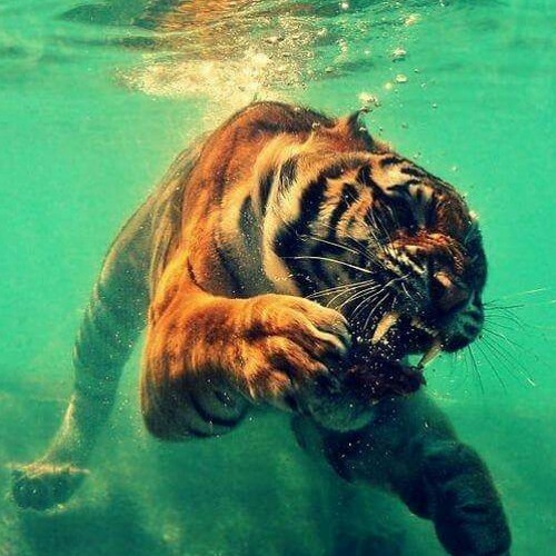 Stream El gran yo soy by Alia Castro | Listen online for free on SoundCloud