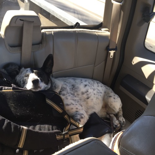 Stream Throne's Siberian Game Of Trans - Orchestral Christmas Eve by ...