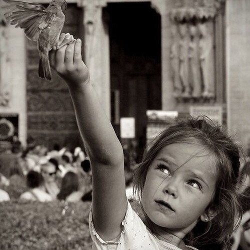 Stream Hanging On (Iridium radio edit)+ Blake Reary. Nikola Nikchev ...