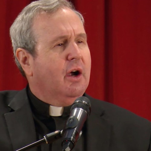 Stream episode Fr. Robert Spitzer, SJ: The Jesuit Hermeneutic of Pope ...