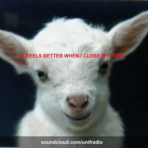 Goat Meme Feels Good