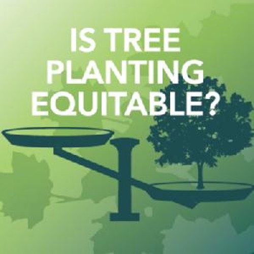 Stream Is Tree Planting Equitable? by Remarkable Objects | Listen ...