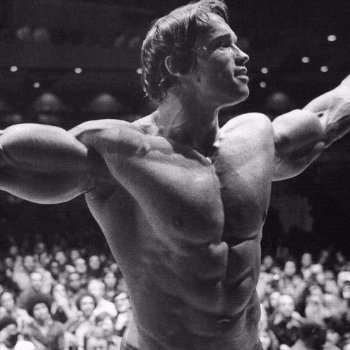 Stream Arnold Part 2 by Cliff Weitzman | Listen online for free on ...