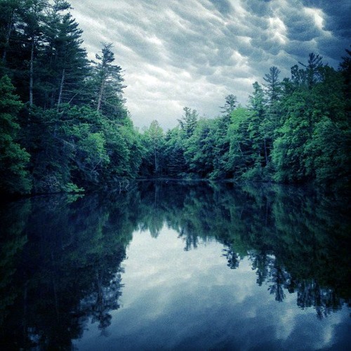 Stream Hallelujah, What a Savior by Josh Bauder | Listen online for ...