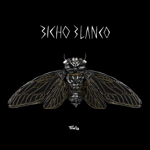 Stream Bicho Blanco - Colibrí by NWLA | Listen online for free on ...