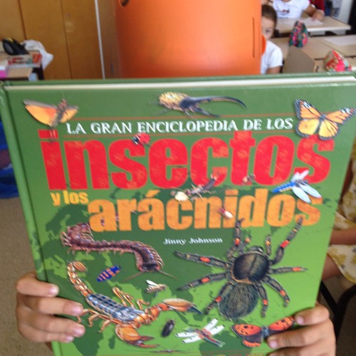 Stream El Gran Libro De Los Insectos Y Arácnidos, Diego by profe 110 ...