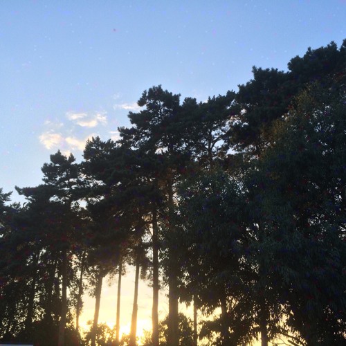 Stream Blues in A - Collaboration by Tony S, Emma S, Ray W, Duane W by ...