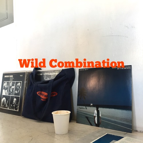 Stream Wild Combination 014: with special guest Andreas Knutsen by ...