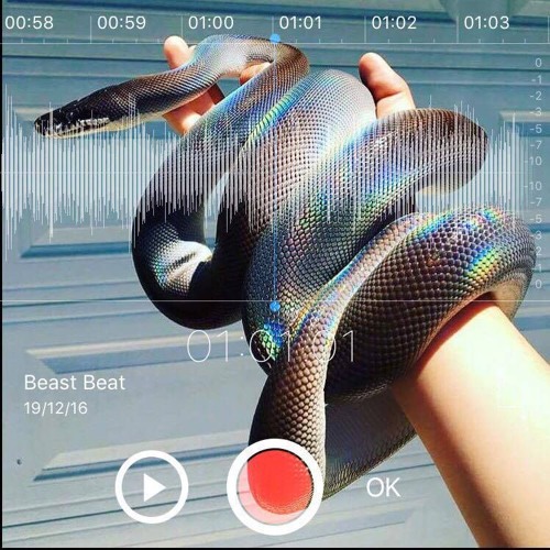 Stream Beast Beat by Ivan Velay | Listen online for free on SoundCloud