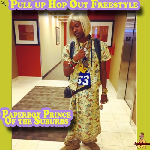 Stream Pull Up Hop Out Freestyle - Paperboy Prince of the Suburbs by ...