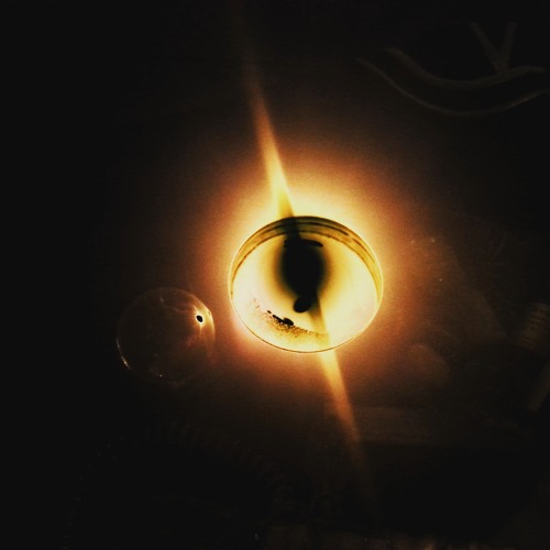 Aaron Terrapin - Free music on ToneDen