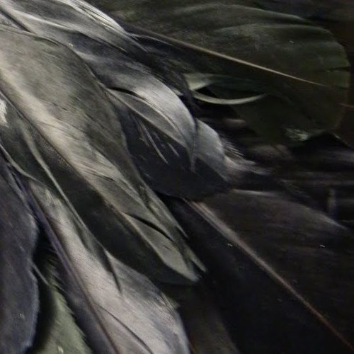 Stream Feather by Phil Dorr | Listen online for free on SoundCloud