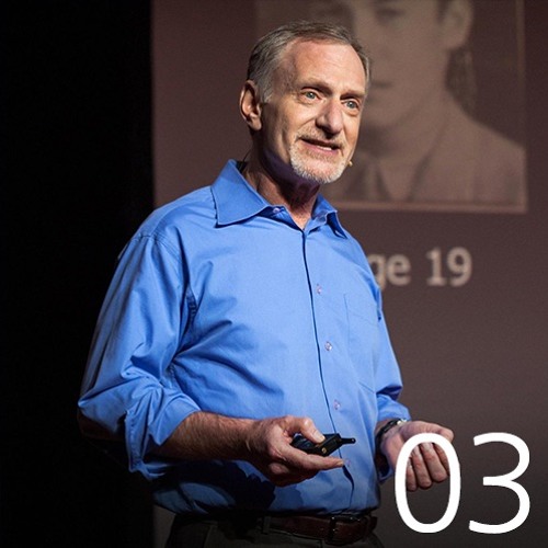 Stream Robert Waldinger - What makes a good life? Lessons from the ...