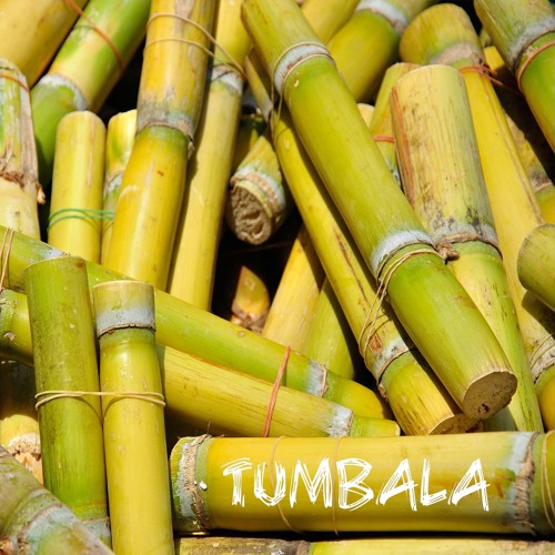 bombombum > tumbala by bombombum | Free Listening on SoundCloud