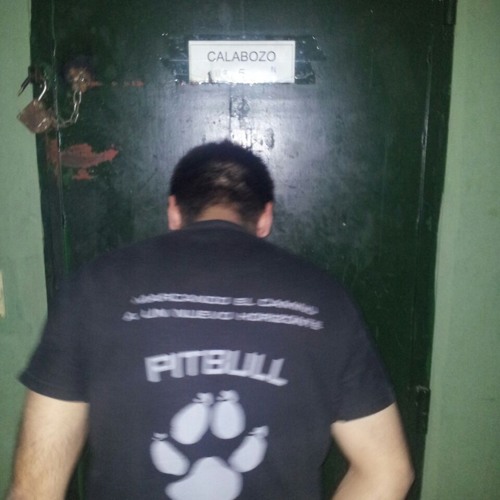 Stream Elizabeth Maffei confirmando que Nerea es responsable by Niemand ...