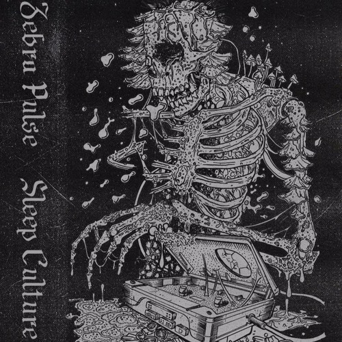 Stream Zebra Pulse - Microwave Meditations by Pseudo Laboratories ...