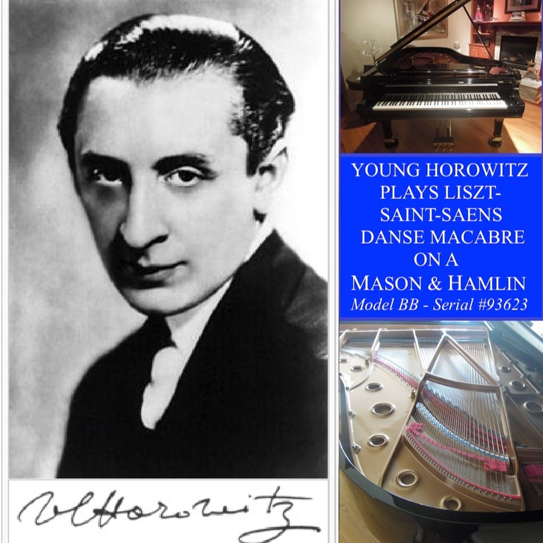 Stream Saint-Saens-Liszt Danse Macabre, Op.40 - Vladimir Horowitz ...