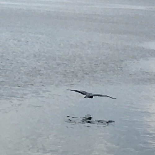 Stream Pavane Simple (from Gradus Ad) by Gilbert Biberian played by the ...