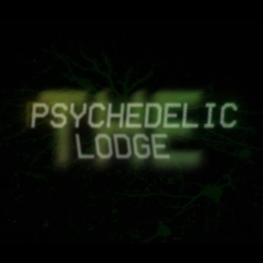 Stream The Psychedelic Lodge by triptor | Listen online for free on ...