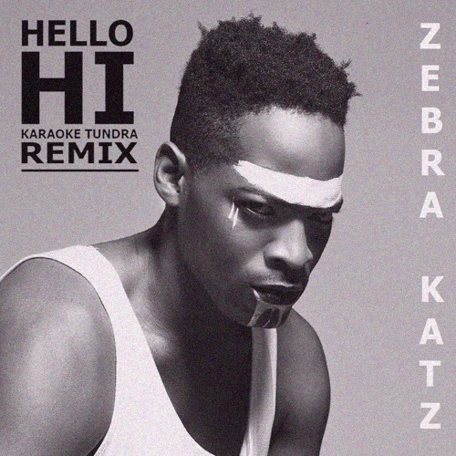 Stream Zebra Katz "Hello Hi" (Karaoke Tundra Remix) by Karaoke Tundra ...
