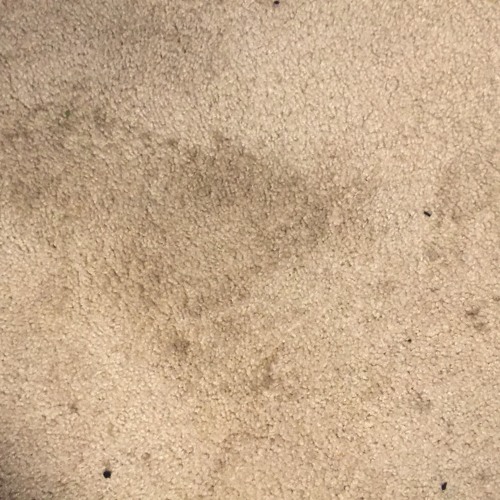 Stains /ft. @sneakguapo (Prod. by Monarc) HURT COBAIN 3 *GBC by Mackned ...