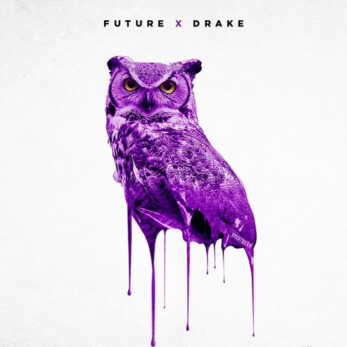 Drake Album Cover Owl