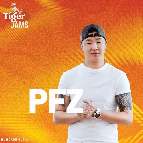 Stream PFZ X Uka - Chamtai Hamt - Presented by Tiger Jams by Tiger Beer ...