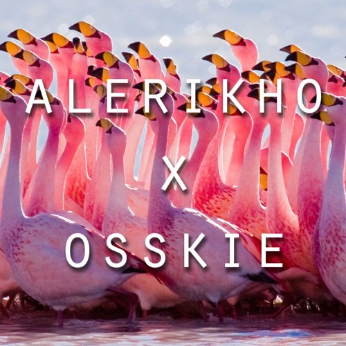 Stream Fanfare Ciocarlia - Moliendo Café (Alerikho & osskie Bootleg) by ...