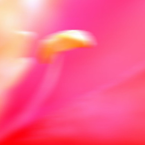 Stream Charles Hamilton - Aww, How Cute! [THE PINK ULTRASOUND] by ...