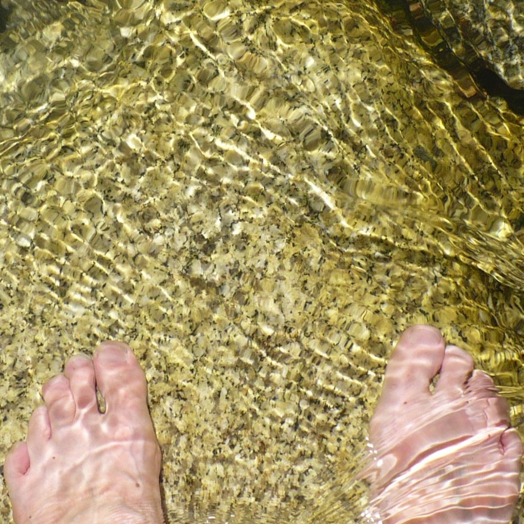 Stream this fish slipped through the net by Helen Melon | Listen online ...