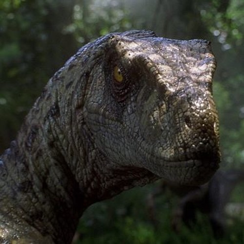 Stream Raptor Call (Prod. by Kingcello) by kingcello | Listen online ...