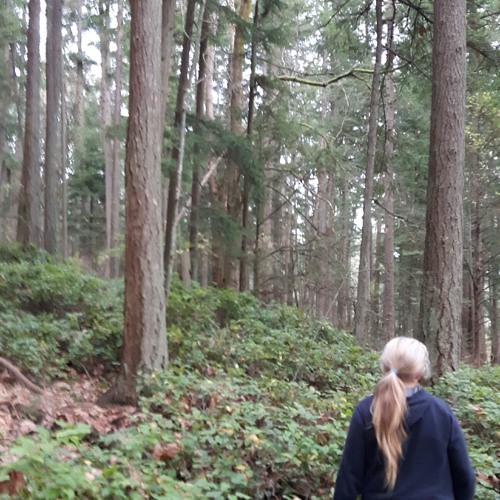 Stream Northern Lights Song by Lindi Smith | Listen online for free on ...