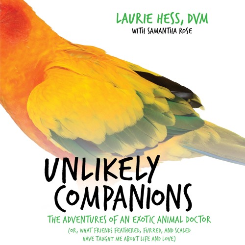 Stream Unlikely Companions by Laurie Hess DVM, Narrated by Erin Bennett ...