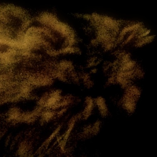 Stream Vilddjur by Susanna Risberg | Listen online for free on SoundCloud