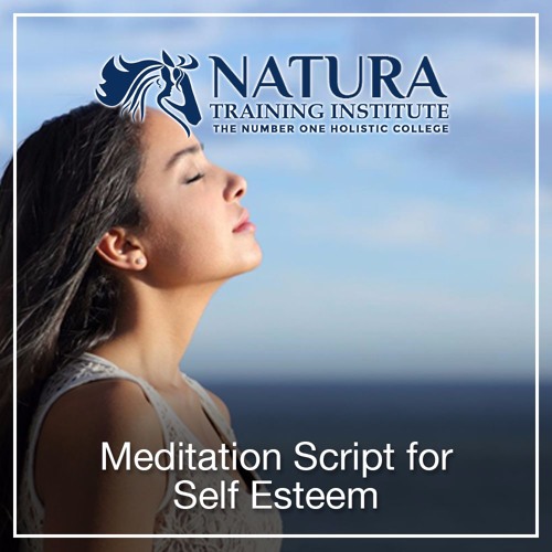 Stream Meditation Script For Self Esteem by Natura | Listen online for ...