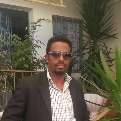 Stream Asfaw Melese- 'Ale Gena' by Fraol Beke | Listen online for free ...