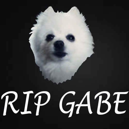 Stream The RIP Gabe Song (INSTRUMENTAL) by Lovprod | Listen online for ...