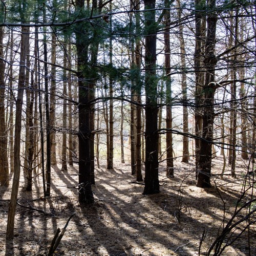 Stream Exploration by David Citron | Listen online for free on SoundCloud