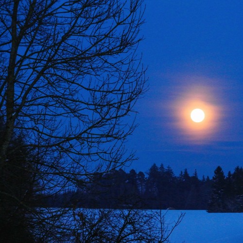 Stream Taylor Olin - Winter Moon by Crayfish Tribe Records | Listen ...