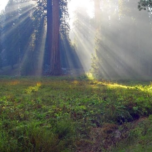 Stream Broken light by Shai Dayan | Listen online for free on SoundCloud