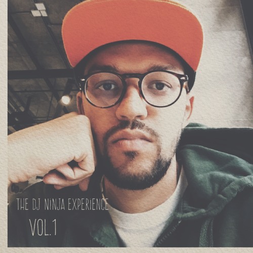 Stream The DJ Ninja Experience Vol1 by Deejay Ninja | Listen online for ...