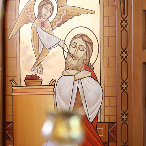 Stream Let us attend part 7-The story of Salvation- Fr Michael Salib by ...