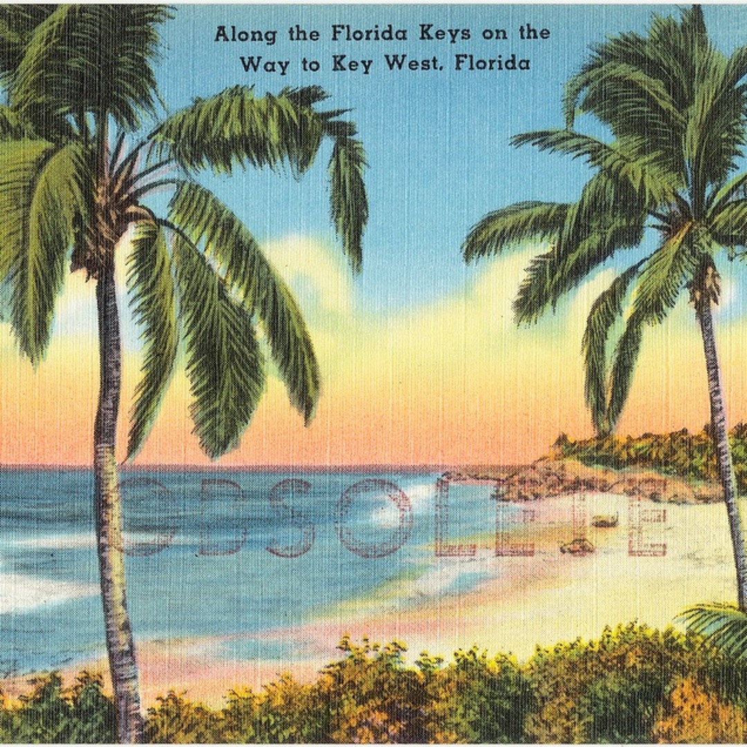Stream LIVE ALLIGATOR WRESTLING by Doug Cooney by The Radio Theatre ...