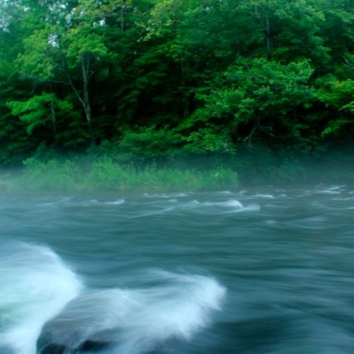 Stream Masi Asare | Listen to The Forgetting Place Demo playlist online ...