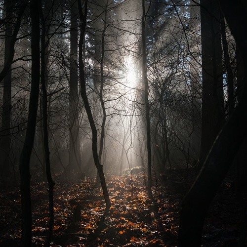 Stream Laura Schwan | Listen to seelenlied playlist online for free on ...