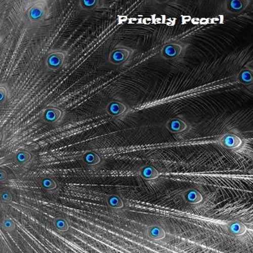 Stream Come Into My Life by Prickly Pearl | Listen online for free on ...