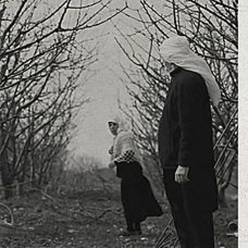 Stream Regretability by Beardson Beardly | Listen online for free on ...